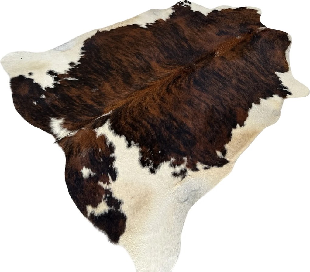 Koberec kusový hovězí kůže 3,4 m2, exotic tricolor 1034