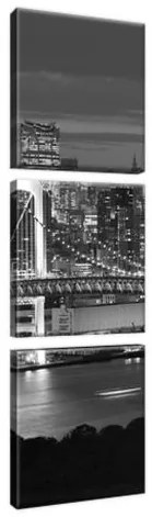 Tištěný obraz Duhový most Tokio 30x90cm 2390A_3V