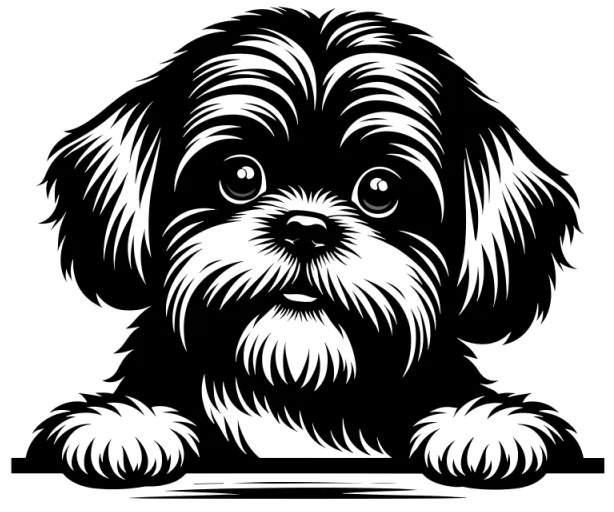 Samolepka pes Shih-tzu