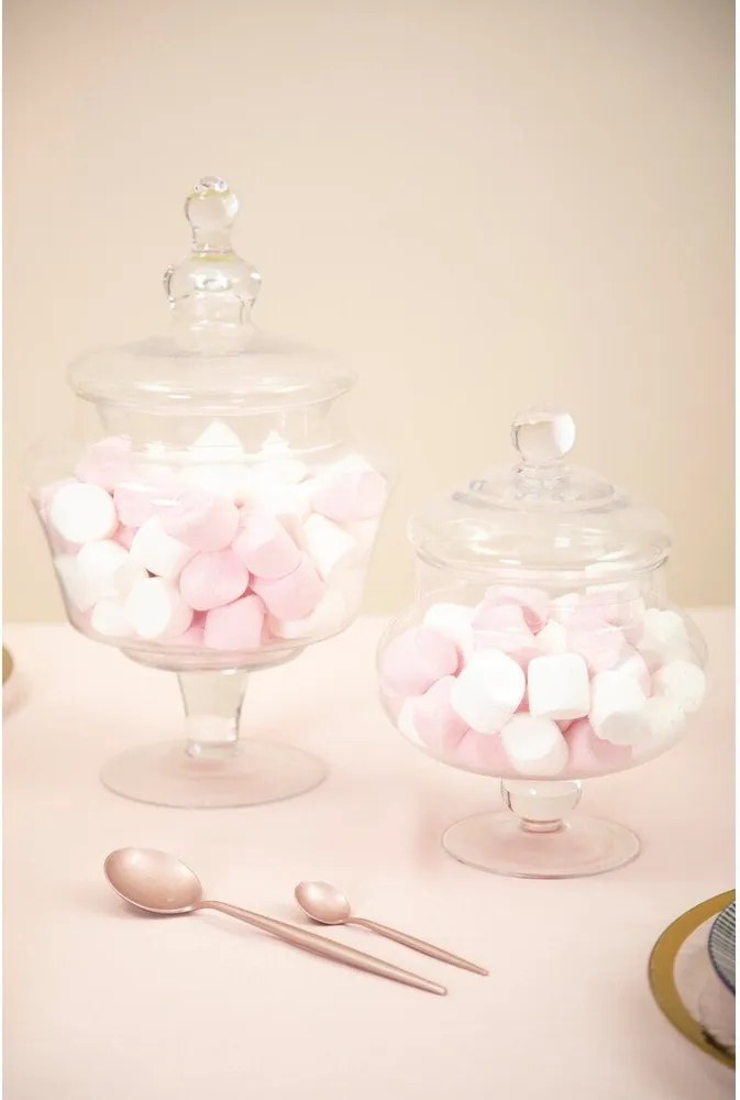 Skleněná dóza na sušenky Olivia – Premier Housewares