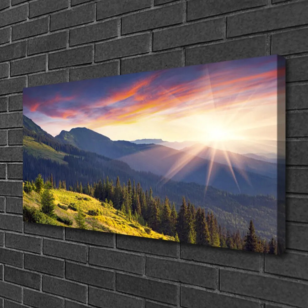 Obraz na plátně Hora Les Slunce Krajina 125x50 cm
