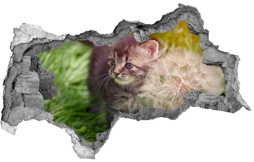 Wallmuralia Díra 3D fototapeta nálepka Kočka s pampeliškou 95x73 cm