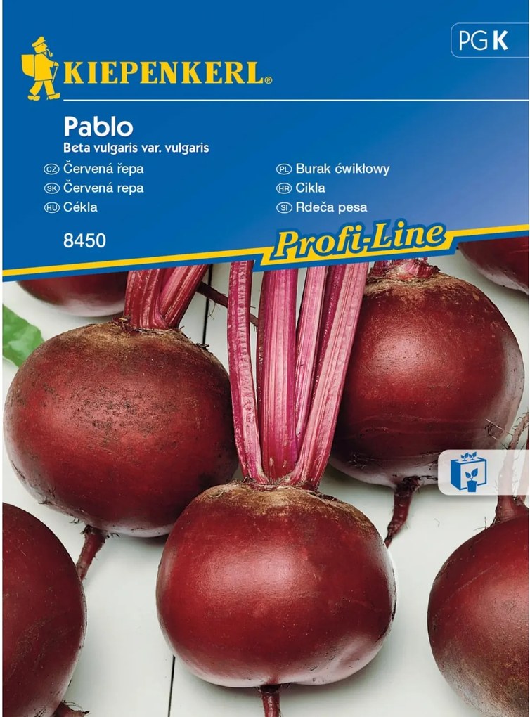 KIEPENKERL Červená řepa (Beta vulgaris var. vulgaris) Pablo, F1
