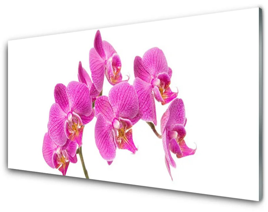 Plexisklo-obraz Orchidej Květiny Příroda 125x50 cm