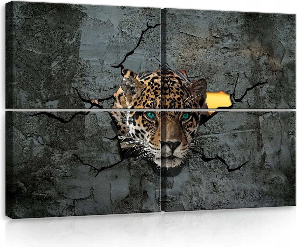 Obraz 120x80 Jaguar průlomová zeď praskliny síla divoká příroda