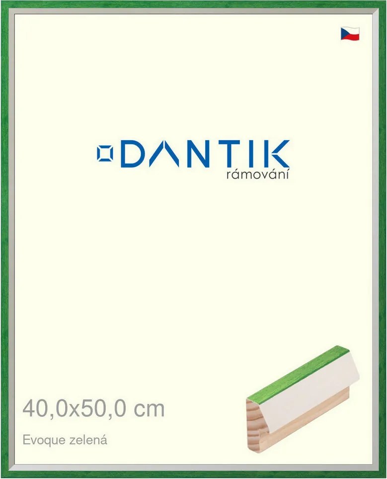 DANTIK rámeček 40x50 | EVOQUE zelená (Plexi Čiré)