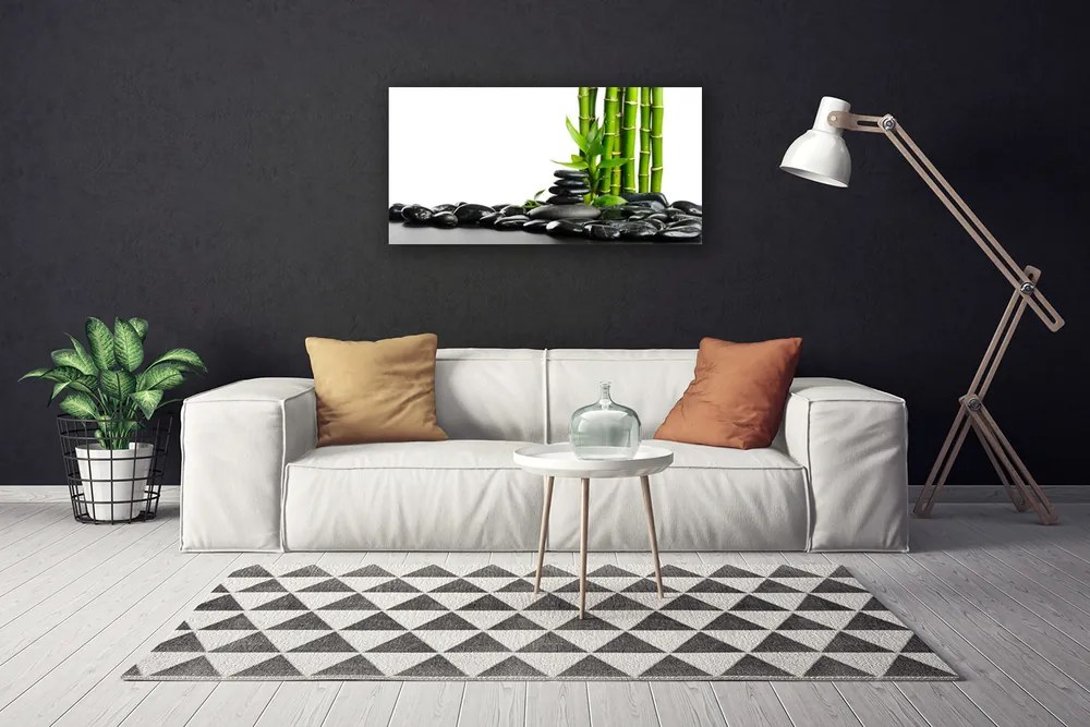 Obraz na plátně Bambus Kameny Umění 100x50 cm