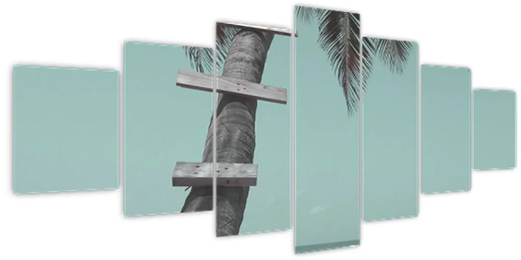 Obraz - Palma v Karibiku (210x100 cm)