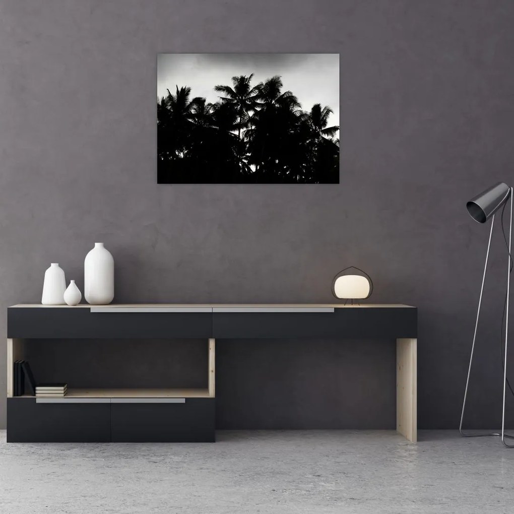 Obraz černobílý - palmy (70x50 cm)