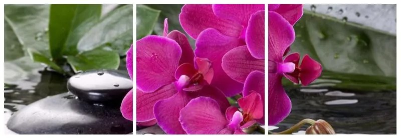 Obraz fialových orchidejí na kamenech (90x30 cm), 40 dalších rozměrů