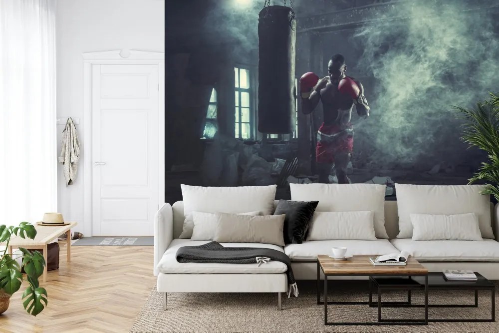 Fototapeta Boxer V Zakouřené Místnosti Hladký vinyl 300x210