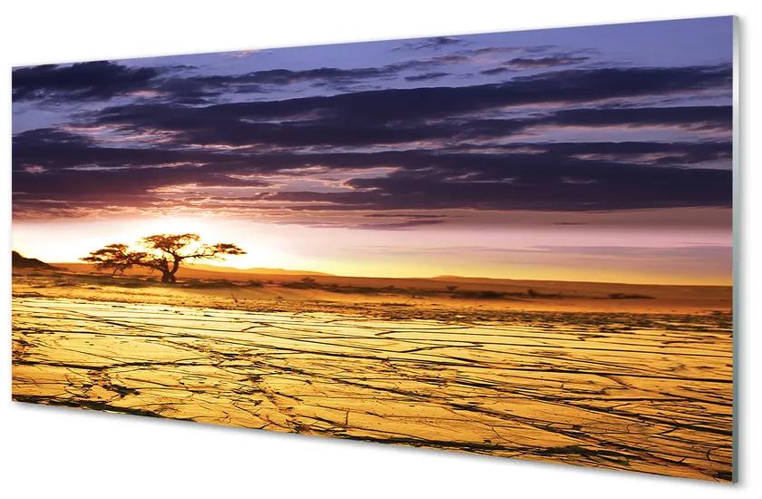 akrylový obraz Mraky strom nebe 125x50 cm