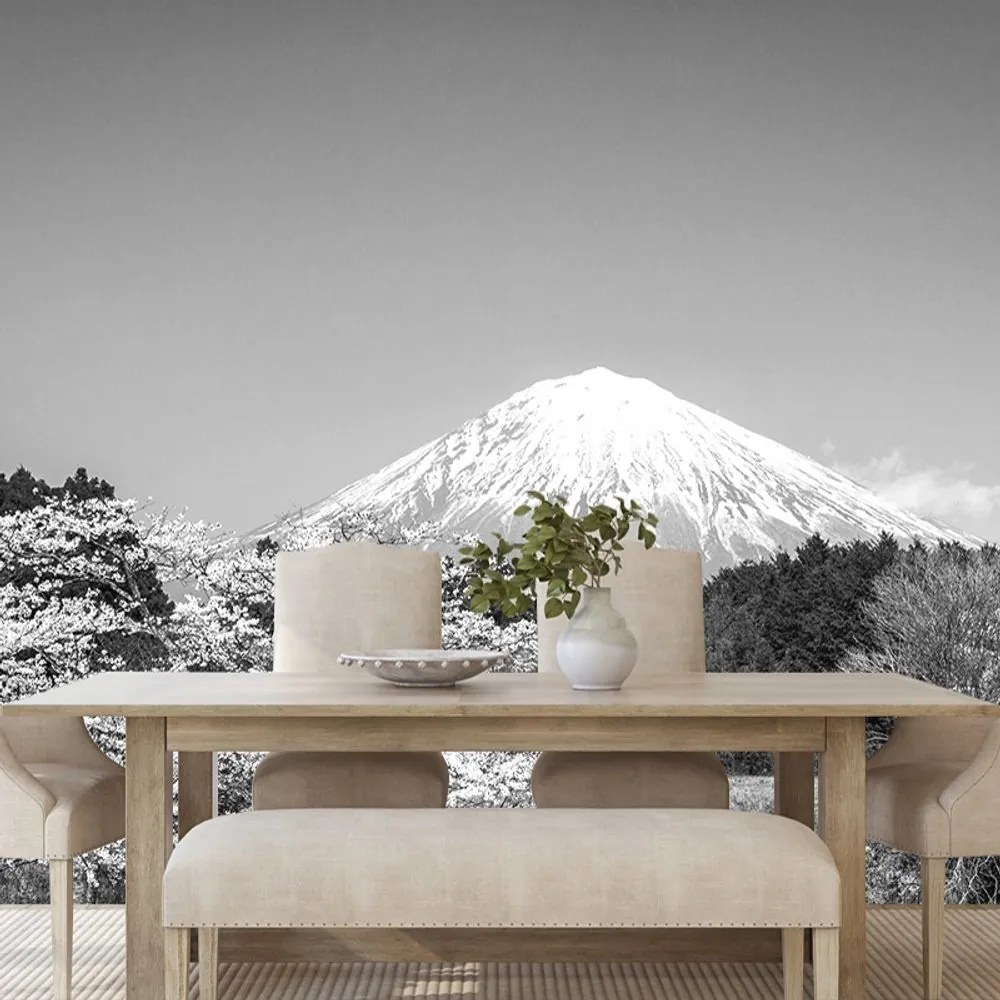 Samolepící fototapeta hora Fuji v černobílém - 150x100 cm