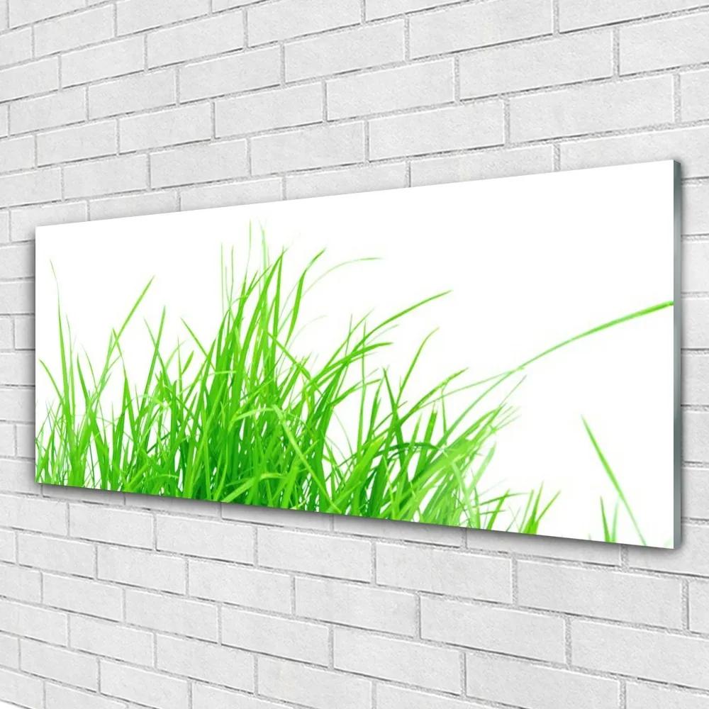 akrylový obraz Tráva 125x50 cm