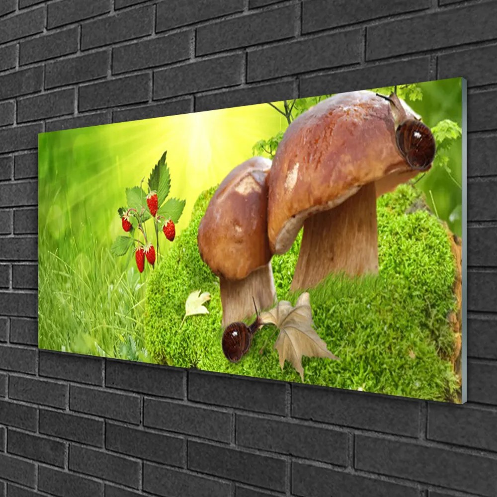 Obraz na skle Houby Divoké Jahody 120x60 cm