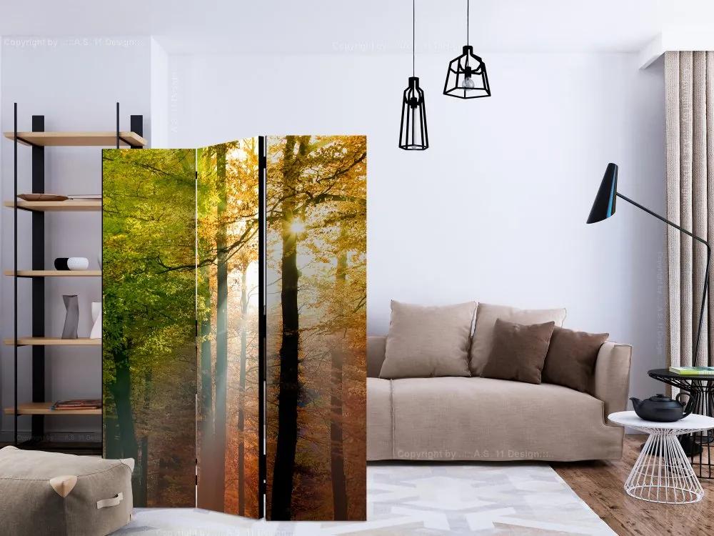 Paraván Forest Colours Dekorhome 135x172 cm (3-dílný)