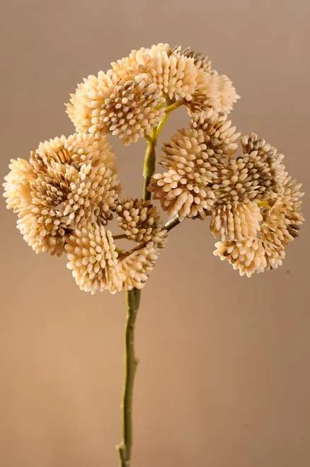 Paramit DRY WILD BERRY Aranžovací květina krémová 45 cm