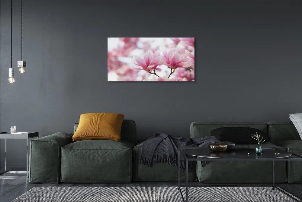 Obrazy na plátně magnolie strom 125x50 cm