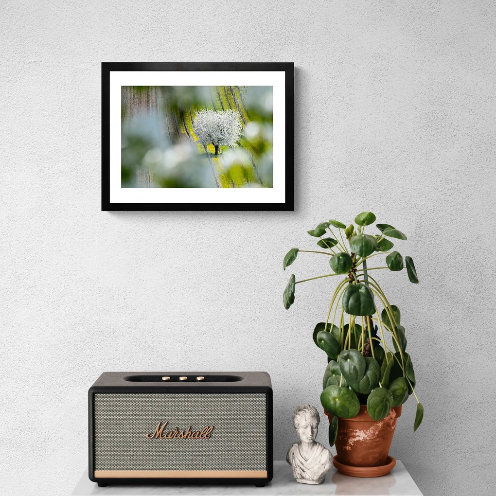 Vojta Herout | Blooming Queen Rám: Dubový, Velikost: 30 x 40 cm