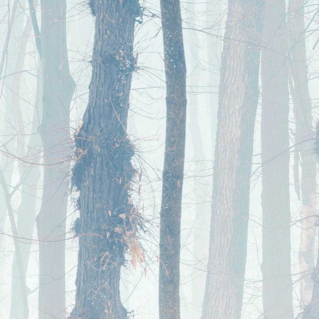 Malvis ® Obraz Zimní les v mlze Velikost (šířka x výška): 55x25 cm