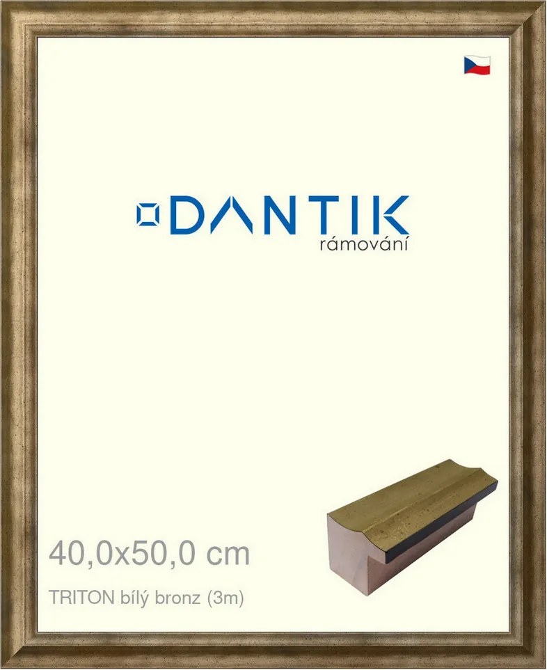 DANTIK rámeček 40x50 | TRITON bílý bronz (Plexi Čiré)