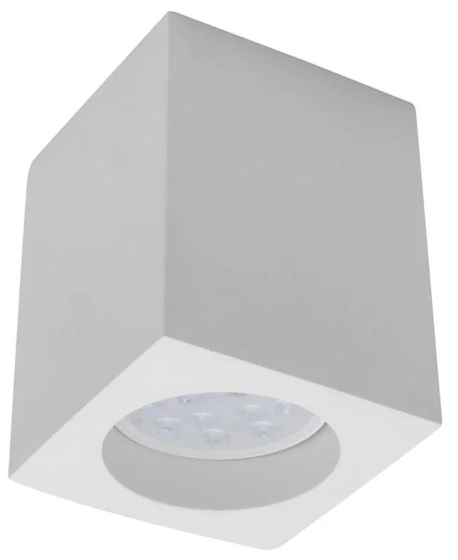 Arelux XGESS CEILING GSS33