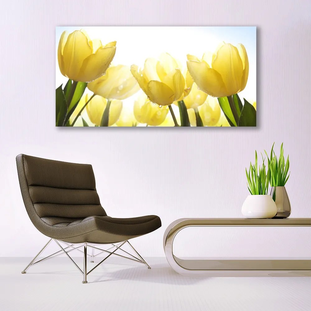 Plexisklo-obraz Tulipány Květiny Paprsky 120x60 cm