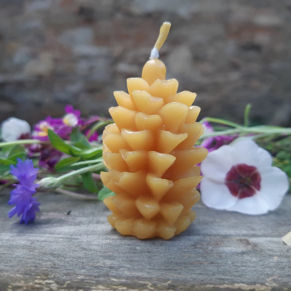 Včelařství Řezanina - Svíčka z včelího vosku - Borová šiška malá - 14g