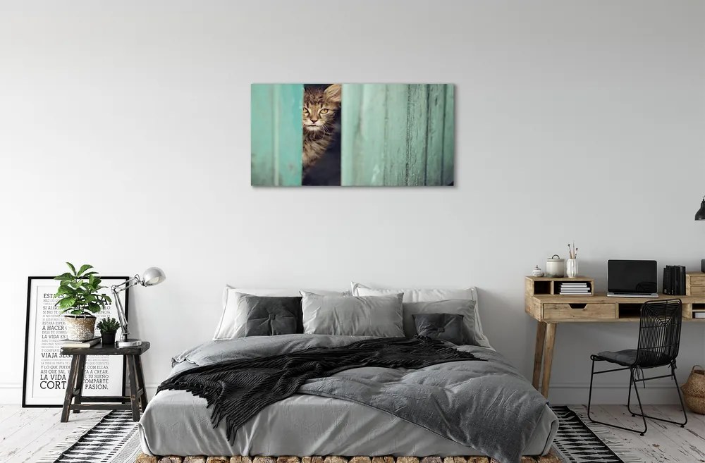 Obrazy na plátně Zaglądający cat 120x60 cm