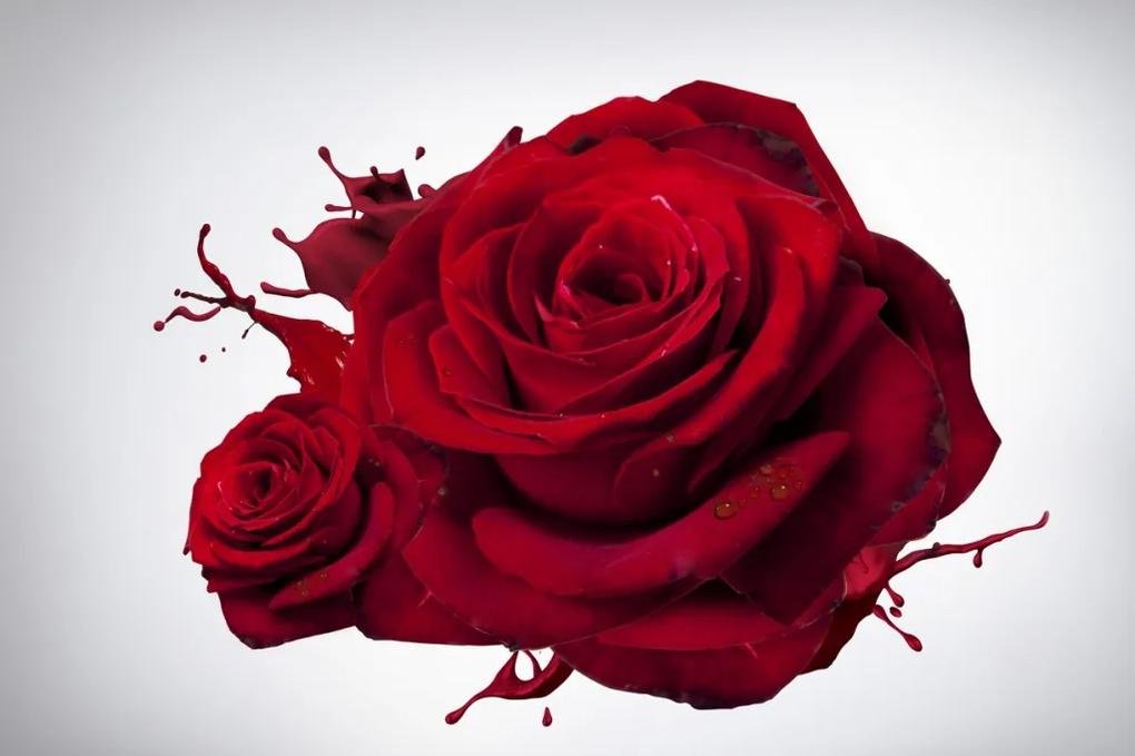 Obraz rudá růže Velikost (šířka x výška): 150x100 cm