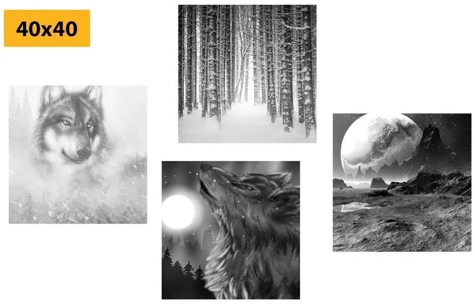 Set obrazů tajuplný vlk v černobílém provedení - 4x 40x40 cm