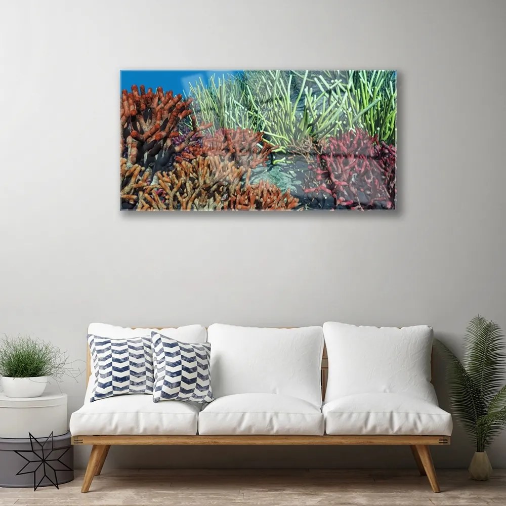 akrylový obraz Korálový Útes Příroda 100x50 cm