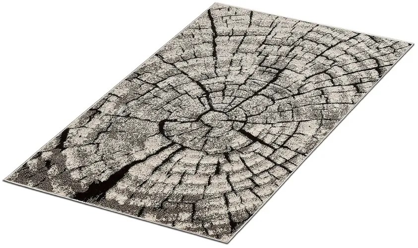 UNICORN CARPETS Kusový koberec PHOENIX 6021 - 0244 ROZMĚR: 200x300 cm
