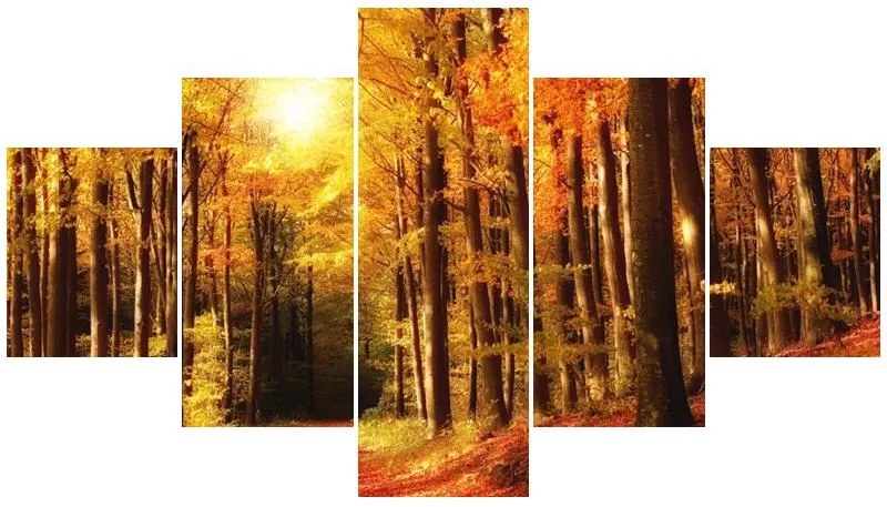 Obraz aleje stromů (125x70 cm), 40 dalších rozměrů