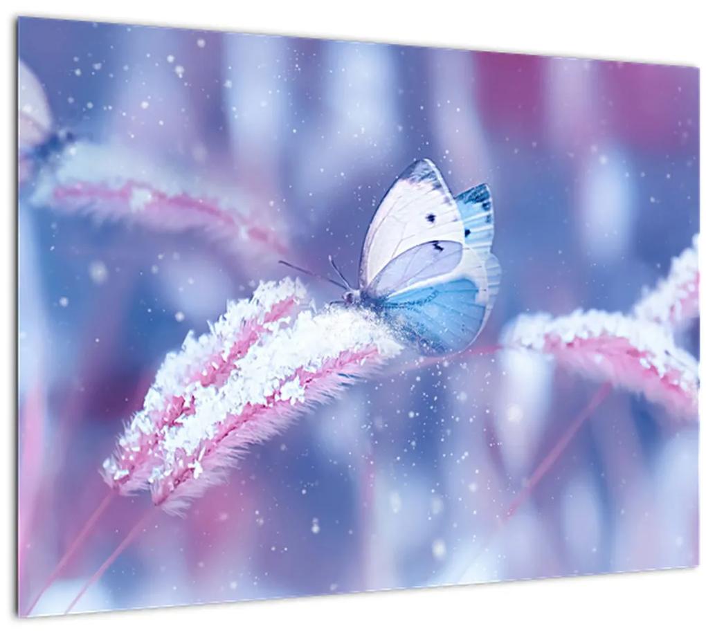 Skleněný obraz - Motýli v zimě (70x50 cm)