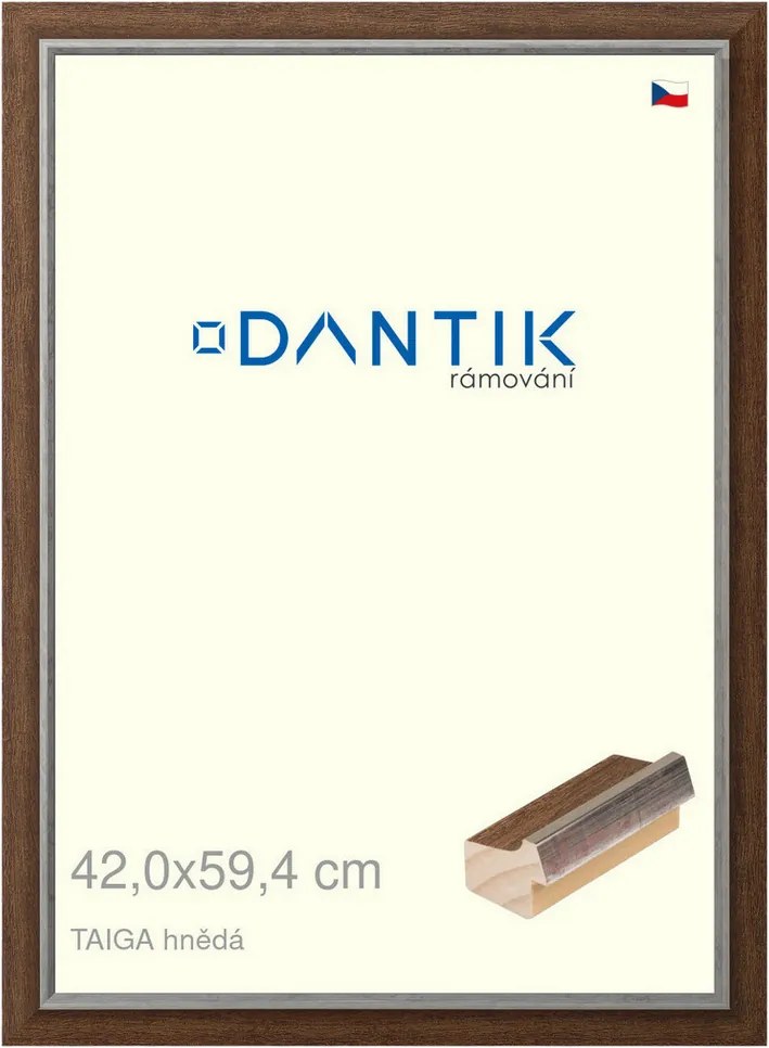DANTIK rámeček 42x59,4 | TAIGA hnědá (Plexi Čiré)