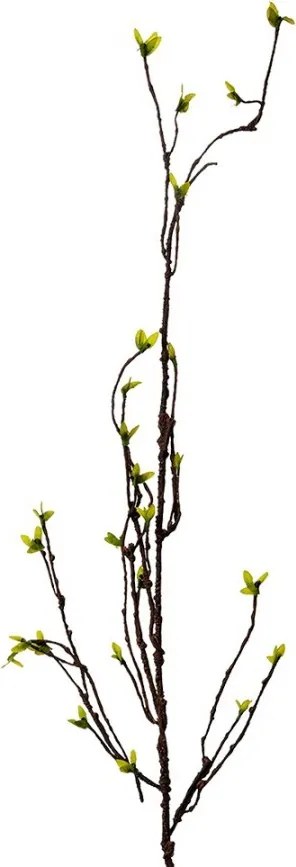 Dekorace hnědá větvička se zelenými lístky - 8*5*116 cm