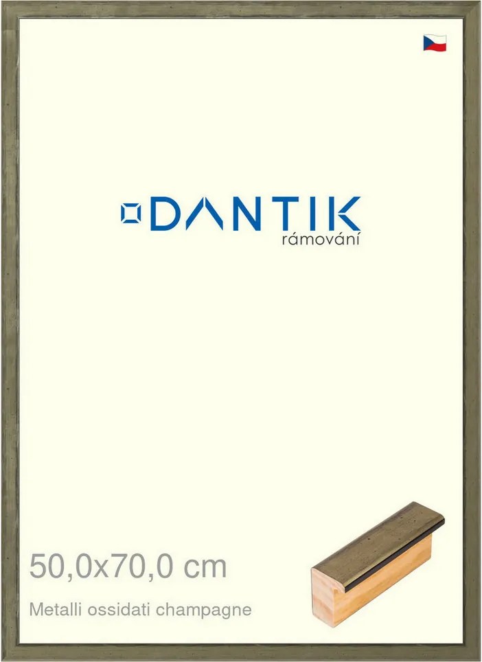 DANTIK rámeček 50x70 | Metalli oidati champagne (Plexi Čiré)