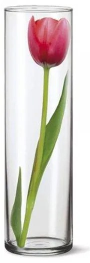 SIMAX SKLENĚNÁ VÁZA 275 MM