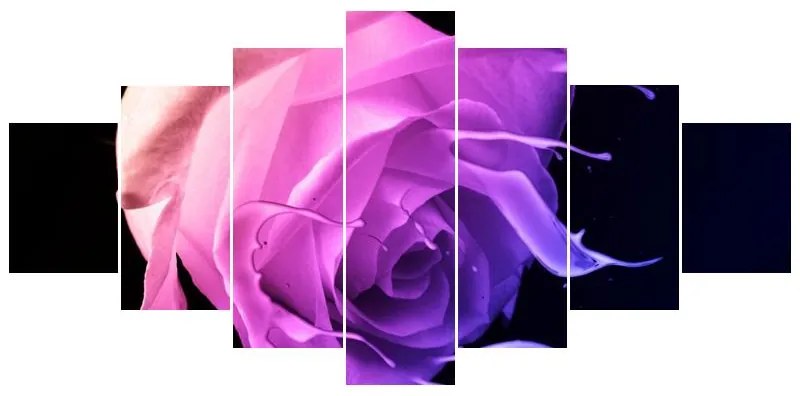 Obraz pestrobarevné růže  (210x100 cm), 40 dalších rozměrů