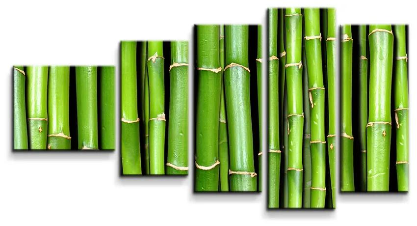 Sablio Obraz - 5-dílný Bambus - 100x60 cm