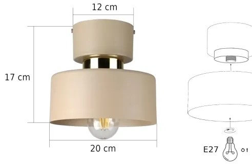 Stropní svítidlo IGNIA 1xE27/60W/230V béžová/zlatá