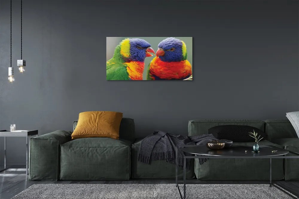 Obrazy na plátně barevný papoušek 125x50 cm