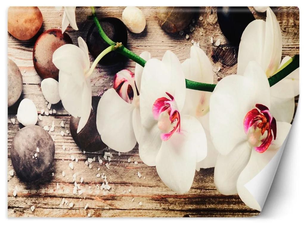 Fototapeta, Zenové orchideje - 250x175 cm