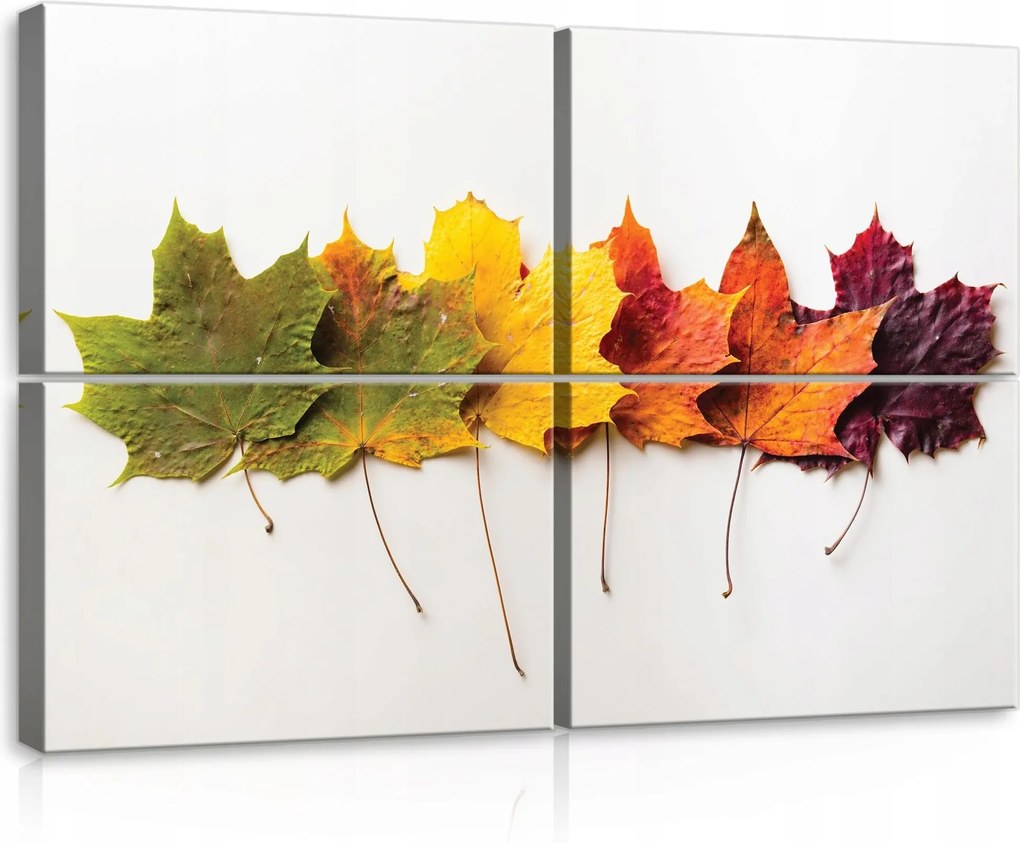 Obraz 120x80 Podzimní javorové listy příroda teplo útulnost gradient barev