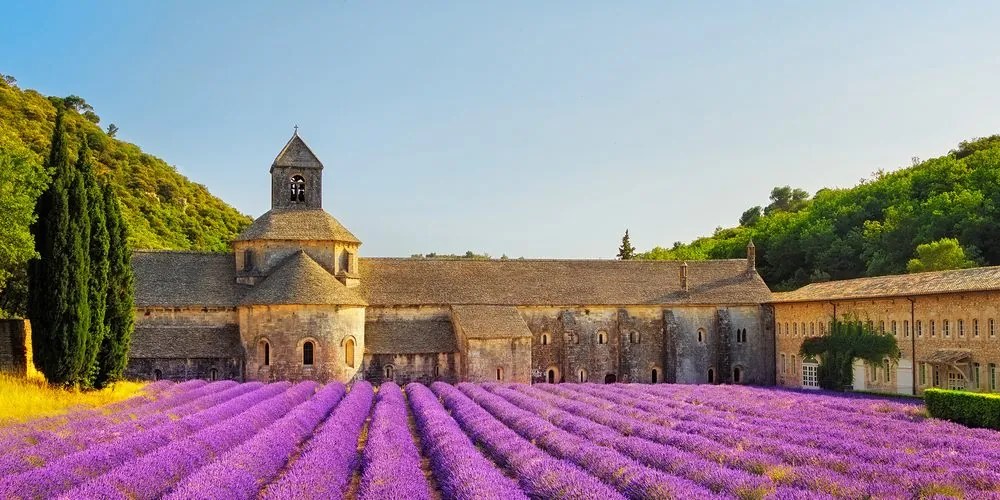 Obraz Provence s levandulovými poli