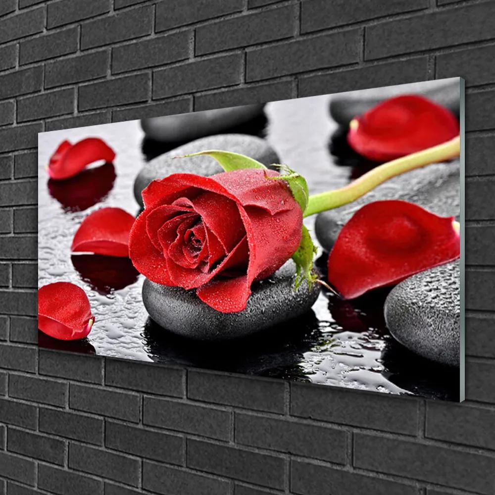 Obraz na skle Růže Květ Kameny Zen 100x50 cm