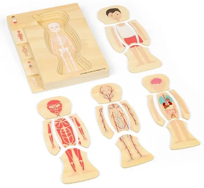 Bigjigs Toys Dřevěné puzzle Anatomie chlapec