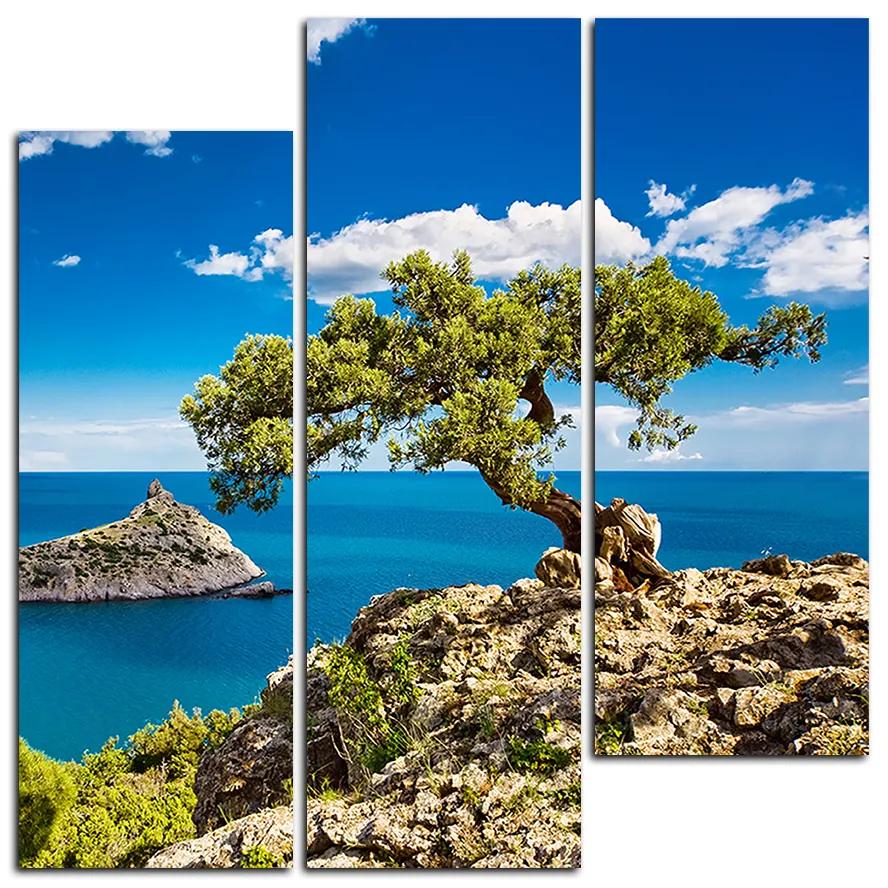 Obraz na plátně - Borovice na útesu - čtverec 349C (75x75 cm)