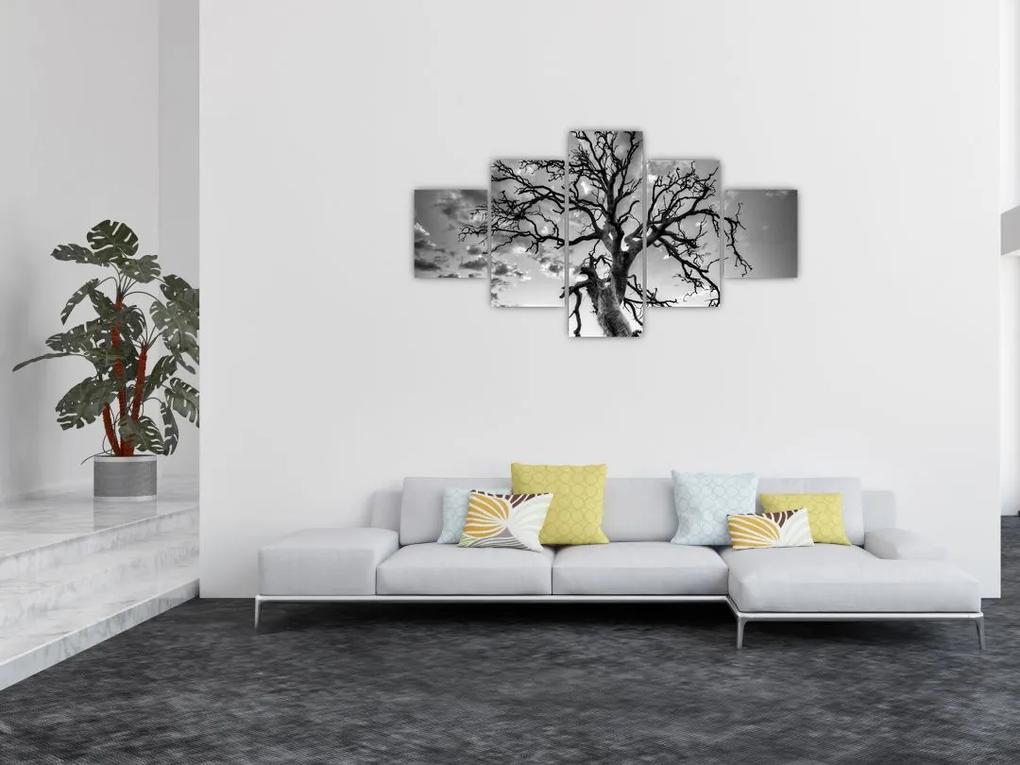 Obraz - Černobílý strom (125x70 cm)